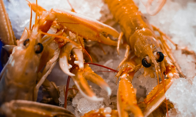 Langouste ou langoustine : quelles sont leurs différences ? - La Voile ...