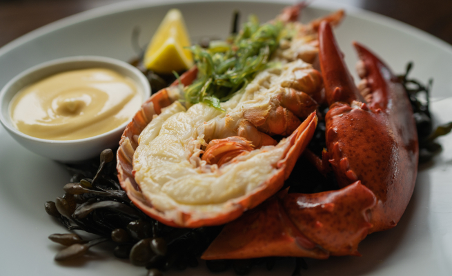 Tout savoir sur les poissons gras : liste, bienfaits... - La Voile Blanche