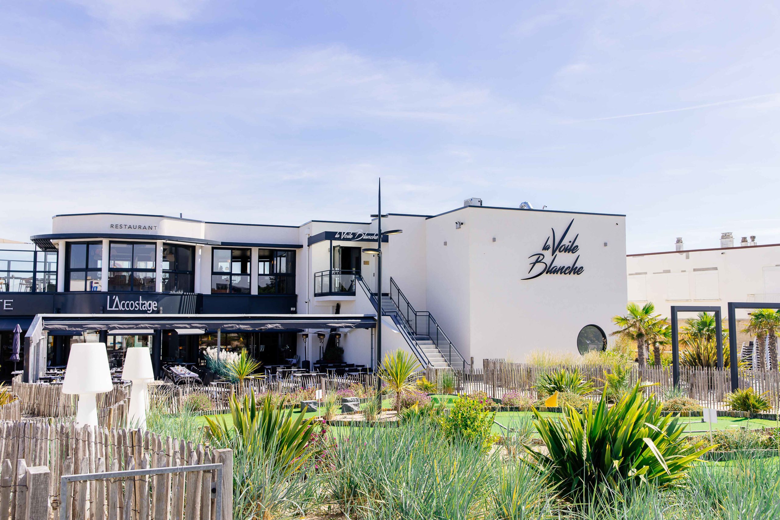 Cuisson de l’amande de mer : toutes les options - La Voile Blanche